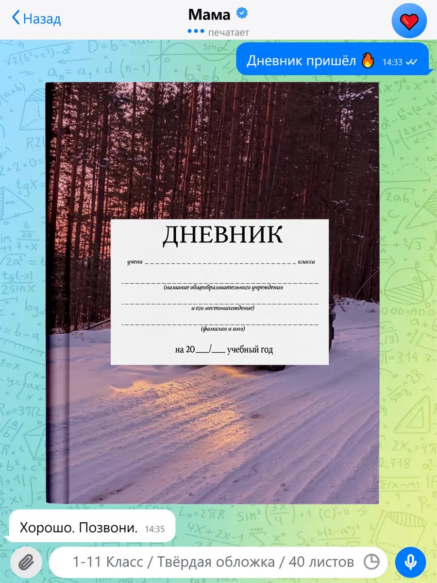 Школьный дневник с принтом Роблокс