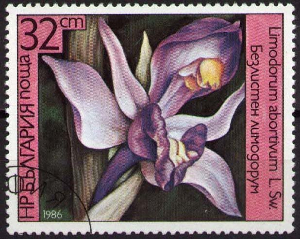 (1986-007) Марка Болгария "Лимодорум" Орхидеи III