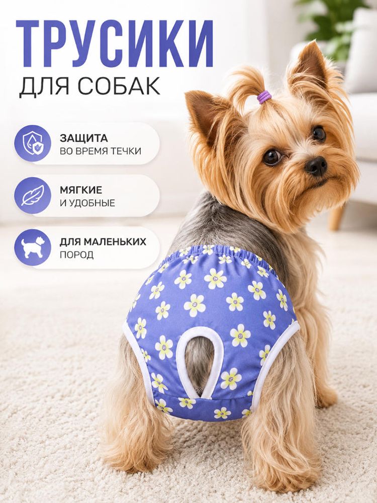 Трусы Для Собаки Многоразовые Во Время Течки