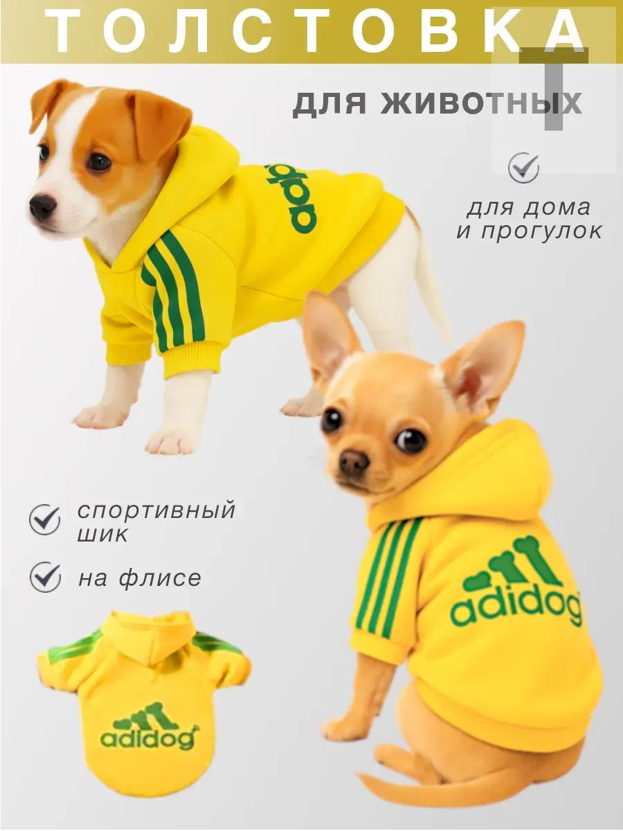 Толстовка для собак мелких и средних пород куртка