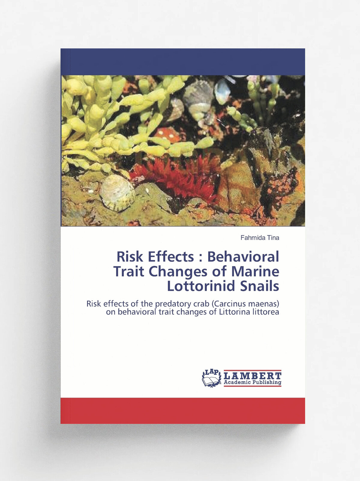 Risk Effects. Behavioral Trait Changes of Marine Lottorinid Snails