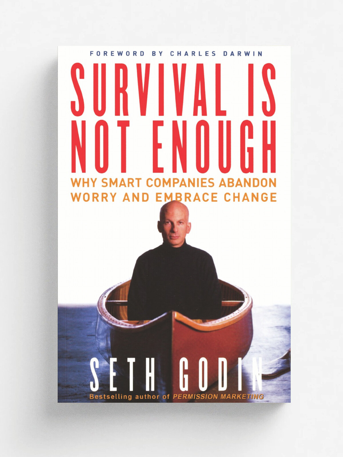 Survival Is Not Enough. Why Smart Companies Abandon Worry and Embrace Change