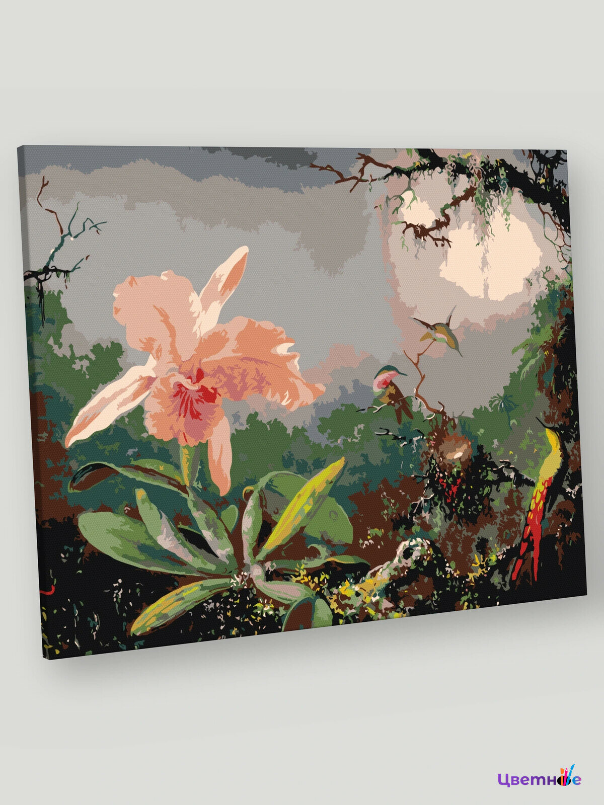 Картина по номерам ЖПН на холсте с подрамником, Раскраска 40х50, Цветы Колибри