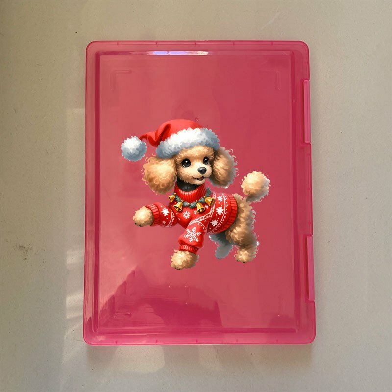Прозрачный пластиковый органайзер для документов A4, двухслойный, с окошком, розовый