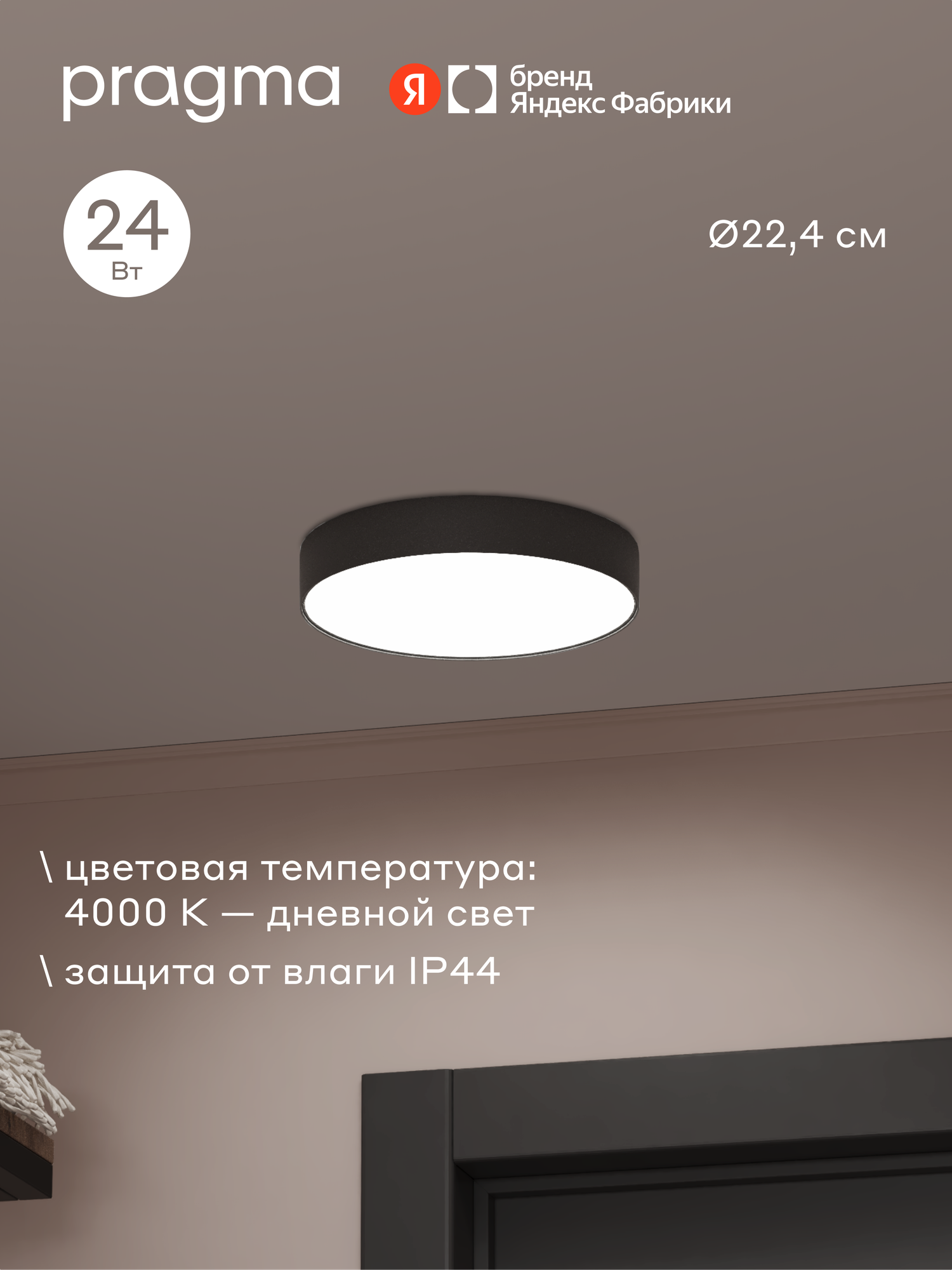 Pragma Tinsu Светильник потолочный светодиодный, 24 Вт, круглый, 224 мм, IP44, чёрный, нейтральный свет, 4000K