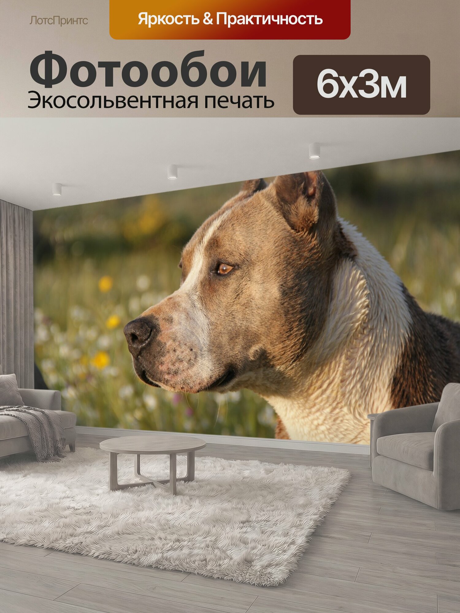 Фотообои "Животное, собака, питбуль" 600x300 см. экосольвентная печать