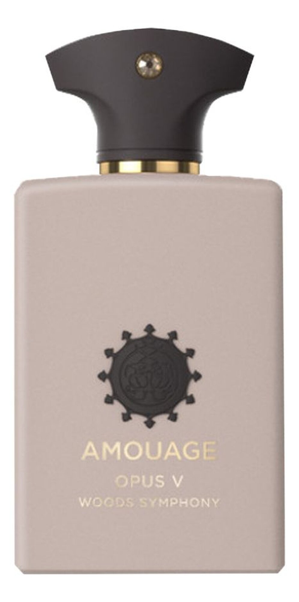 Amouage Opus V Woods Symphony Парфюмерная вода унисекс 100 ml