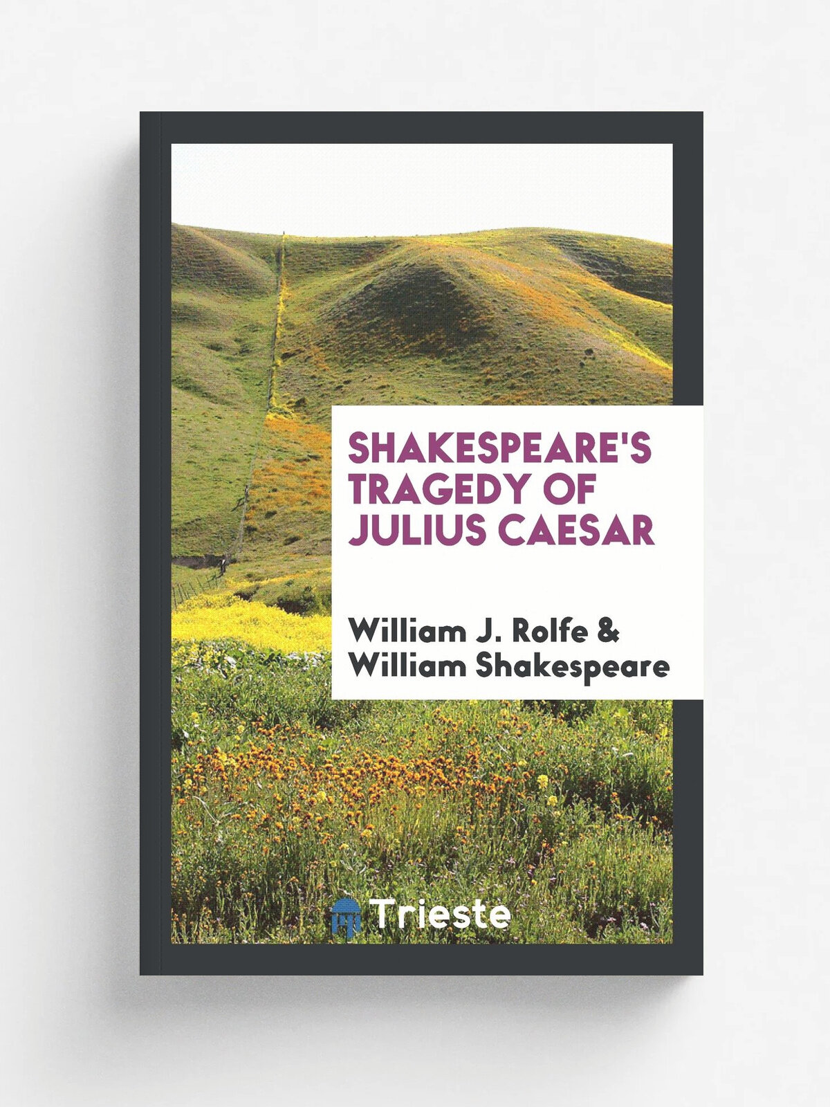 Shakespeare's tragedy of Julius Caesar