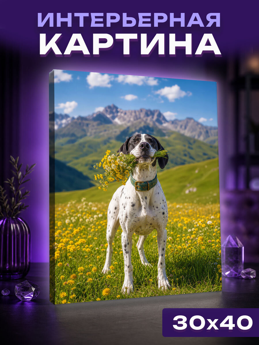 Интерьерная картина Счастливый пойнтер в Альпах