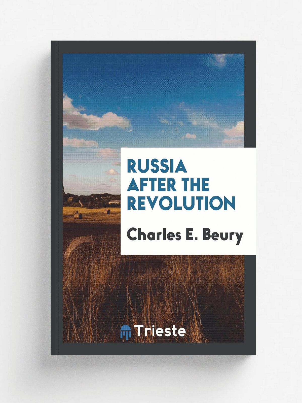 Russia After the Revolution
