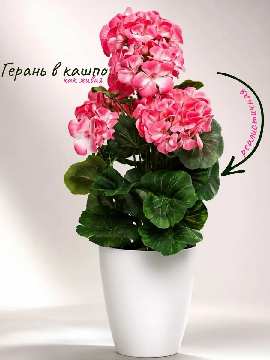Dream flower Искусственные цветы Герань 1 шт светло-розовый