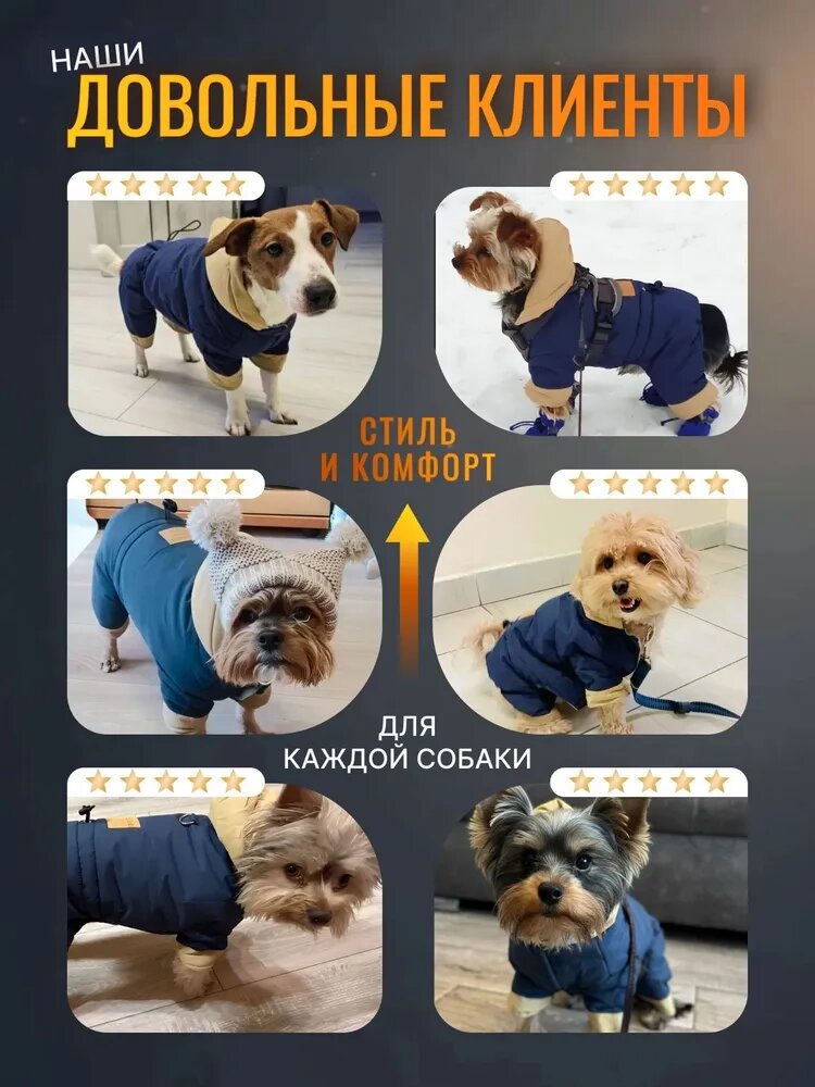 Одежда для животных — фото 1