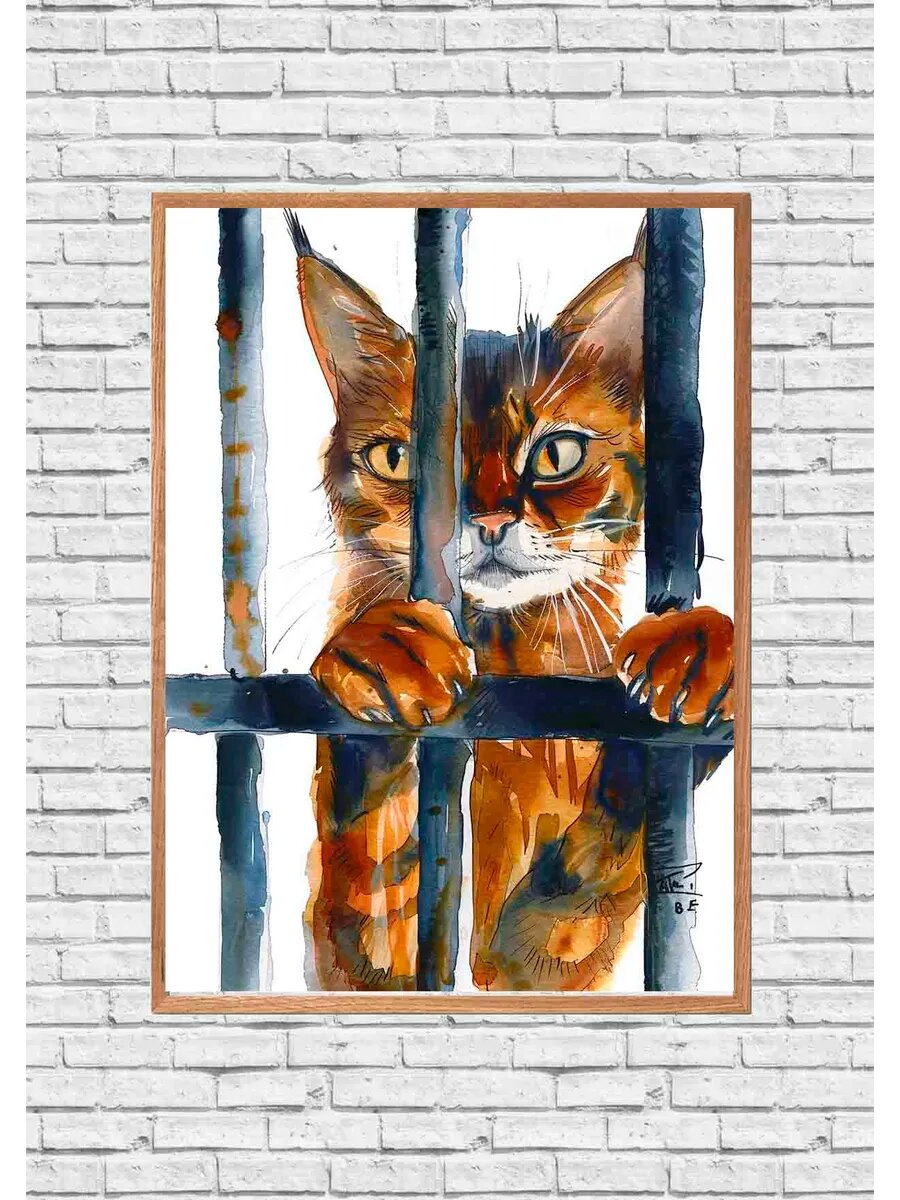 Сомалийский кот-преступник в тюрьме 3, Плакат 30x42см