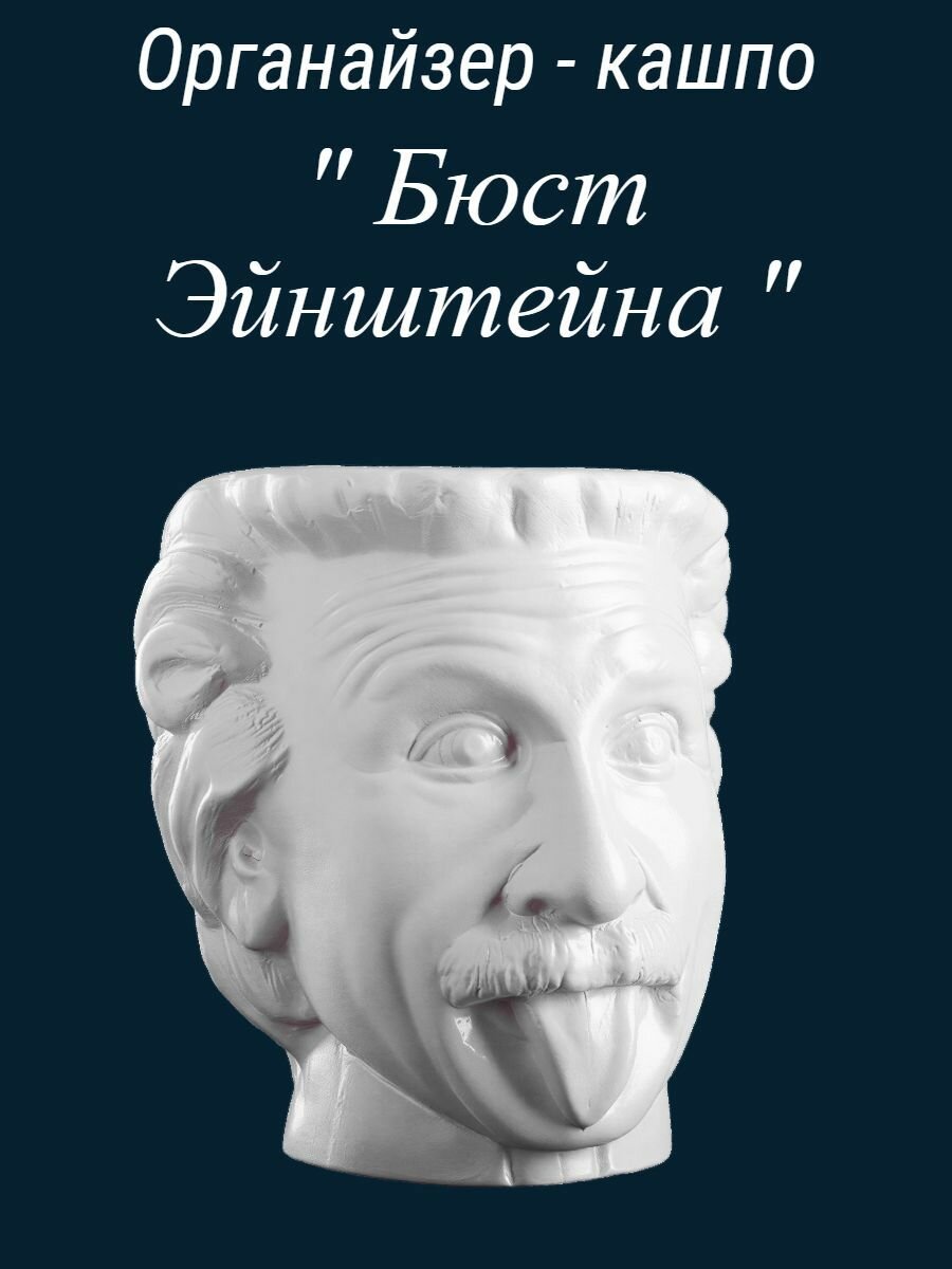 Органайзер - кашпо " Бюст Эйнштейна ", 16 х 15 х 15 см белый