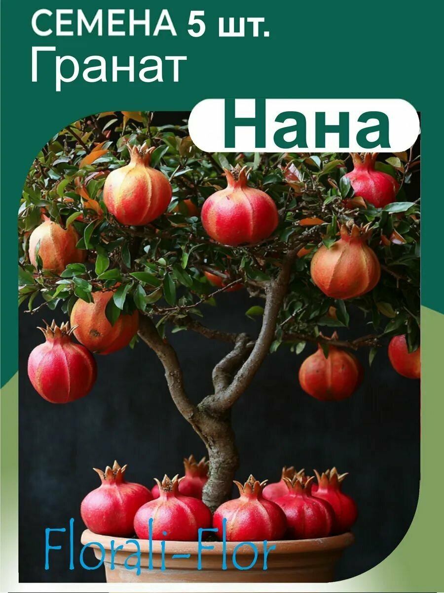 Семена граната Нана