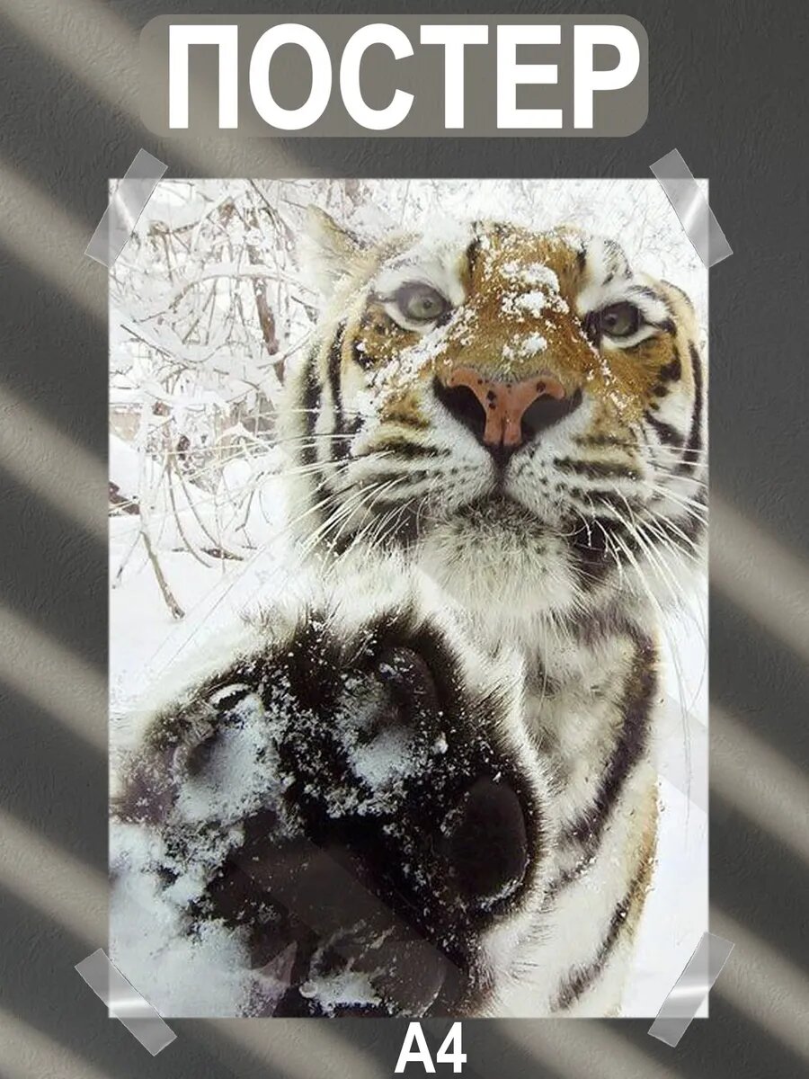 Постер интерьерный на стену а4 природа