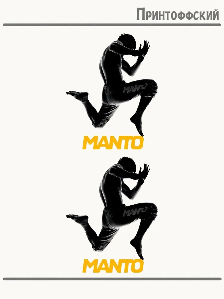 2-е (Две) Термонаклейки manto манто