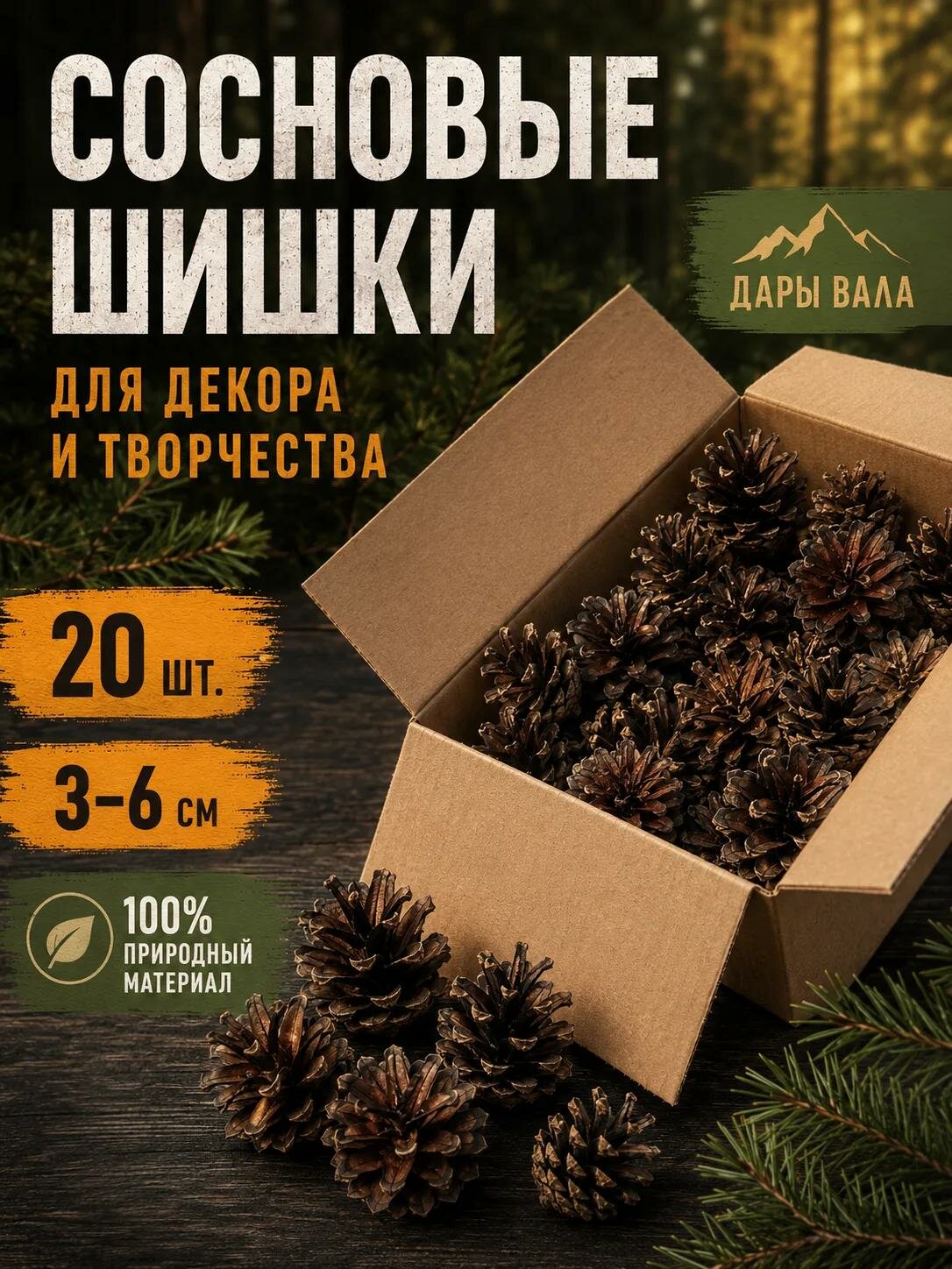 Шишки сосновые для декора и творчества. Набор 20 шт. Природный материал. Дары Вала
