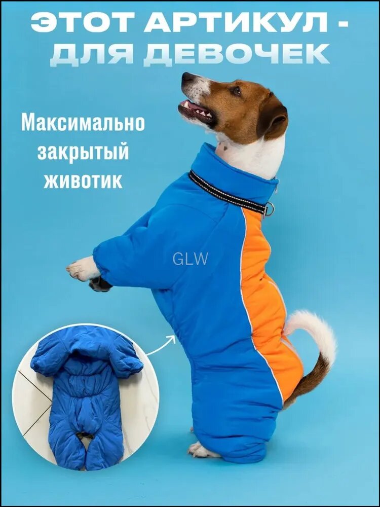Утепленный комбинезон для собак девочек-. GLW — фото 1