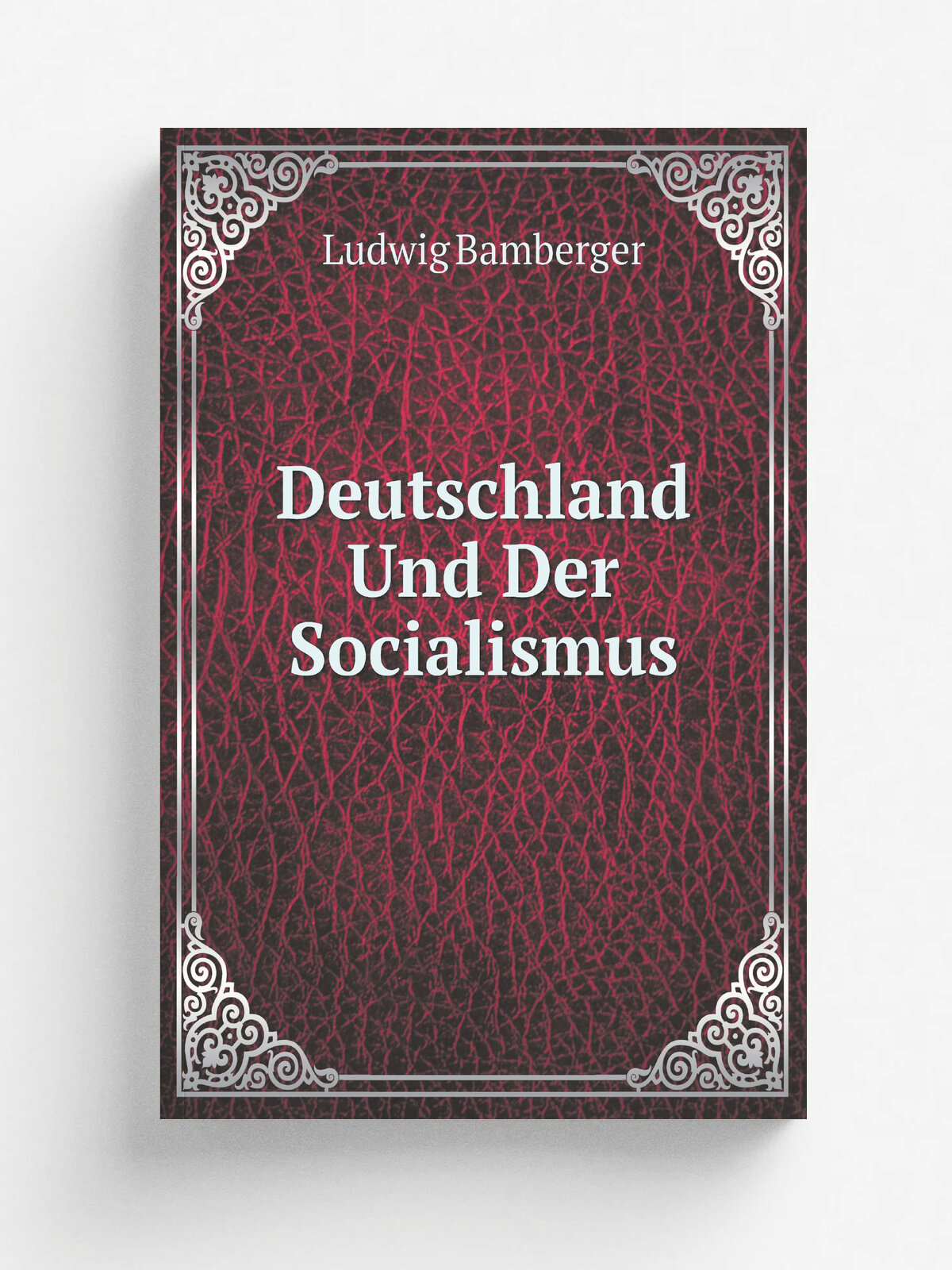 Deutschland Und Der Socialismus