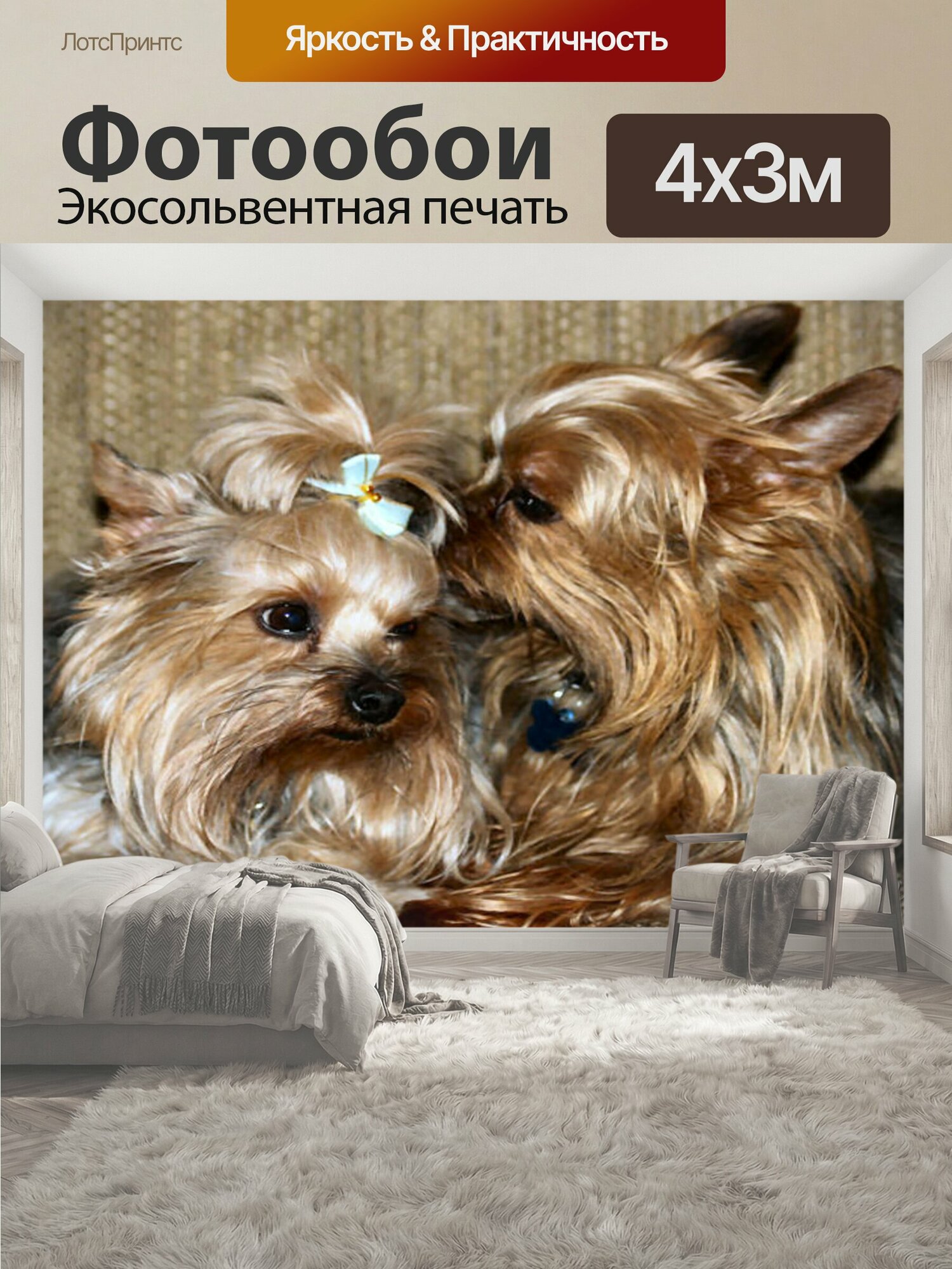 Фотообои "Шейди & Миша Мои два йорки йоркширский терьер" 400x300 см. экосольвентная печать