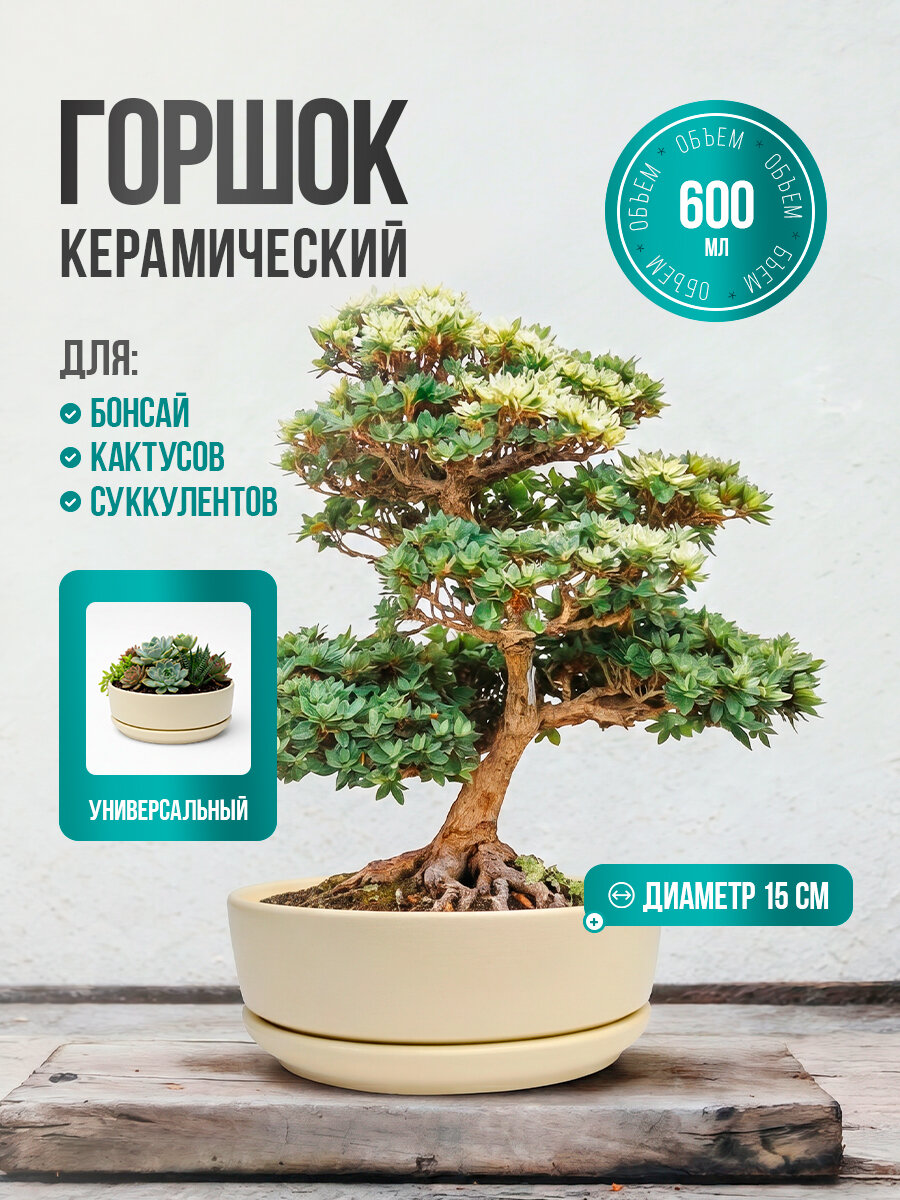 Керамический горшок "Афина Айвори" для бонсай, кактусов и суккулентов, диаметр 15 см, высота 5 см