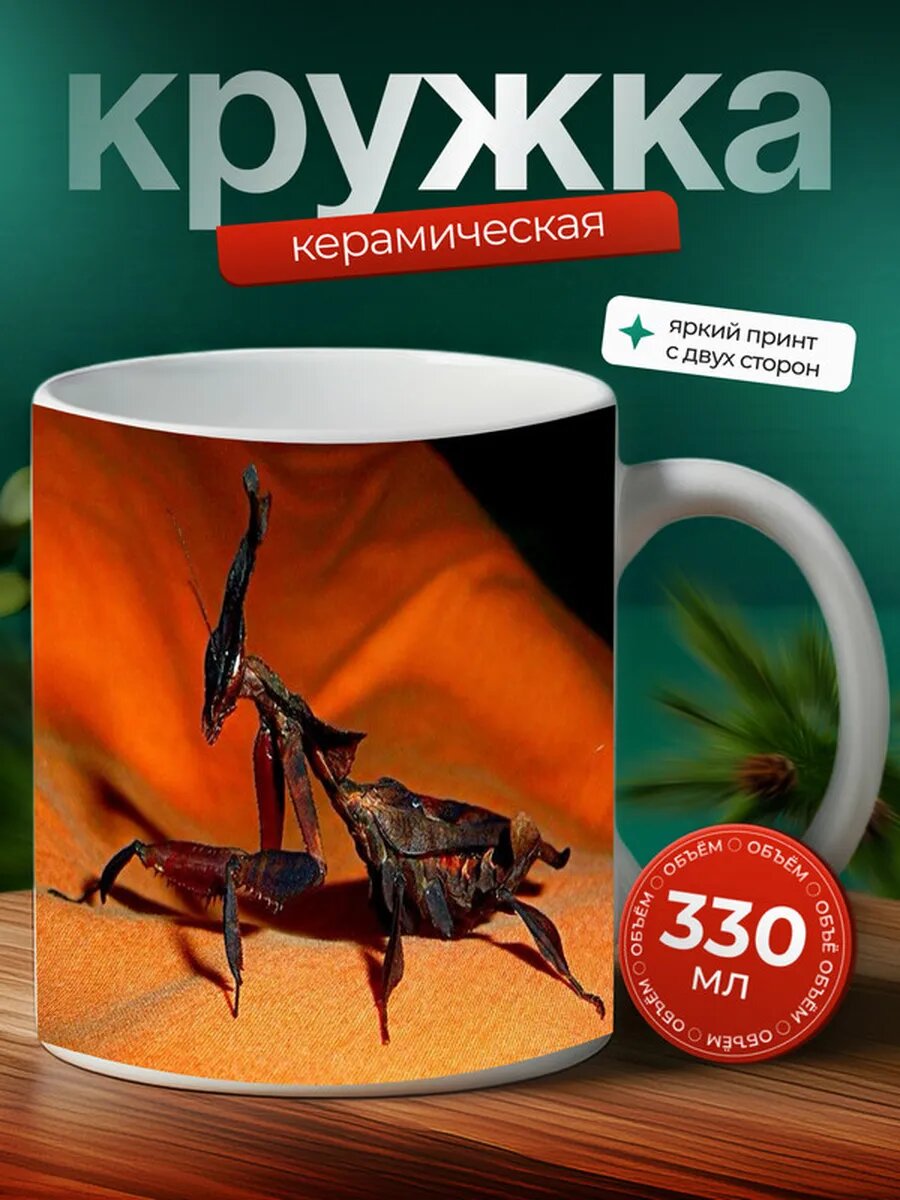 Кружка Ручейник насекомое 16,