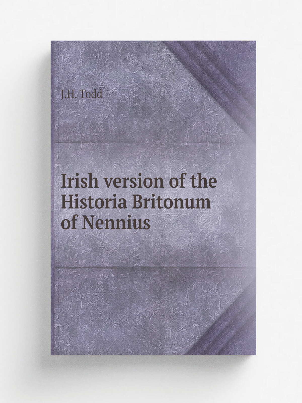 Irish version of the Historia Britonum of Nennius