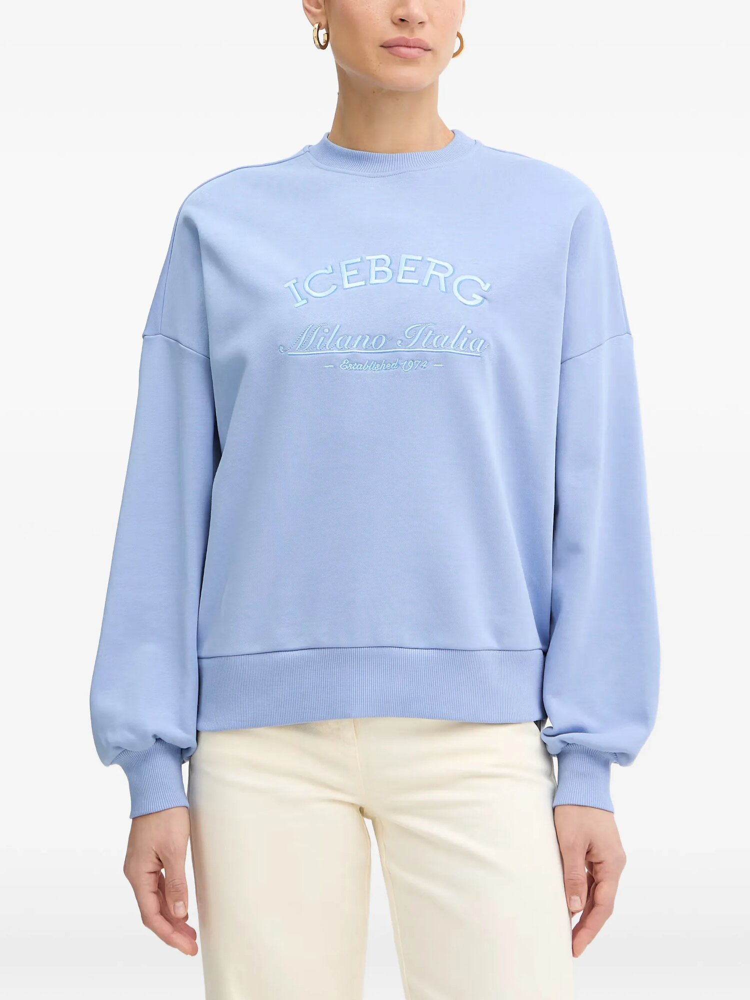 Толстовка Iceberg