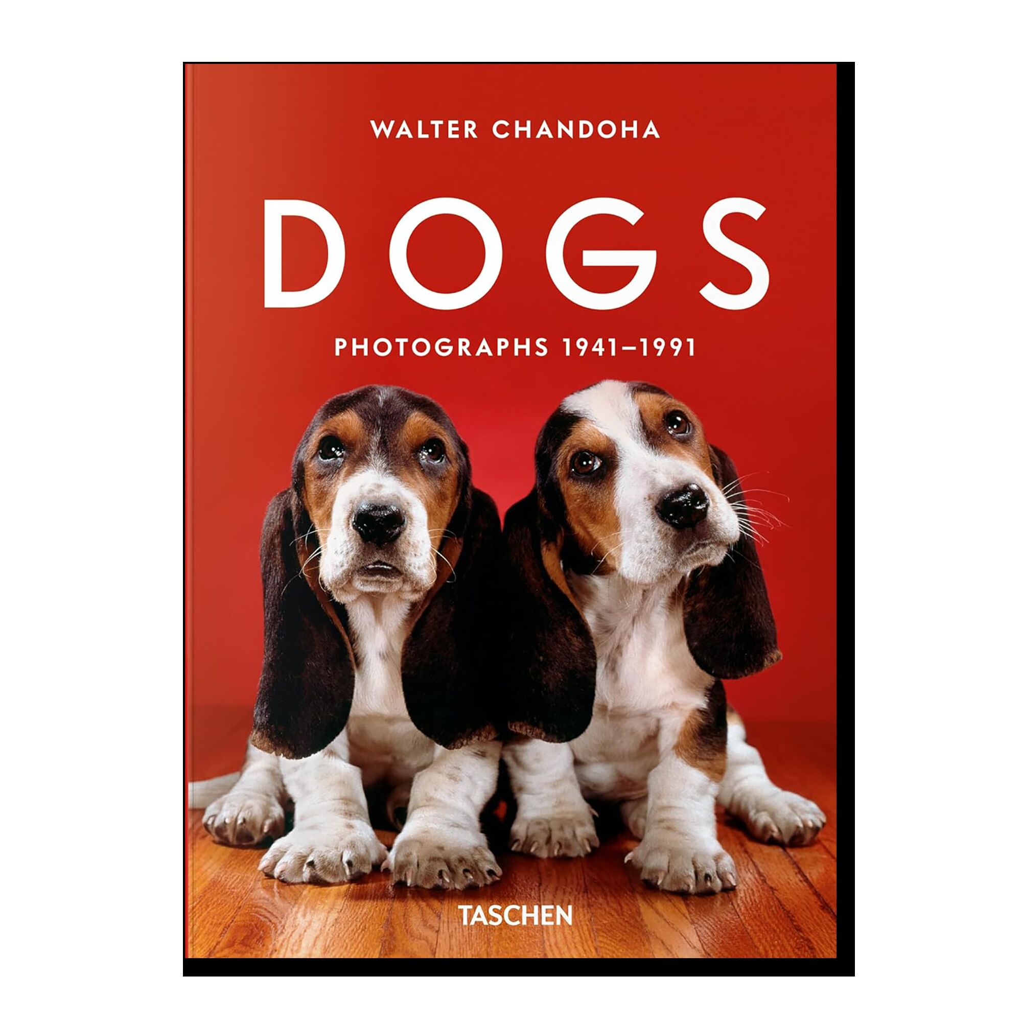 Dogs. Photographs 1941–1991