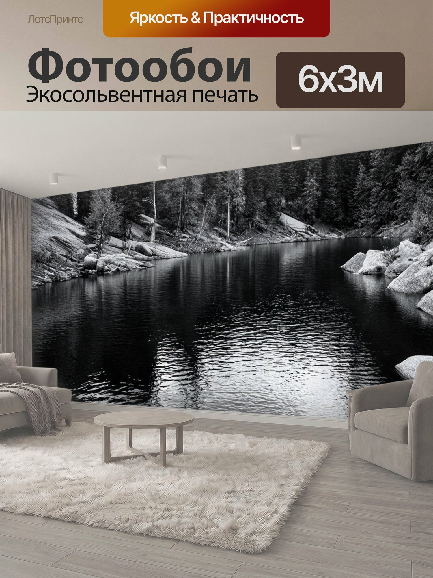 Фотообои "Озеро в черно-белом стиле, шумный поток, впадающий в озеро" 600x300 см. экосольвентная печать