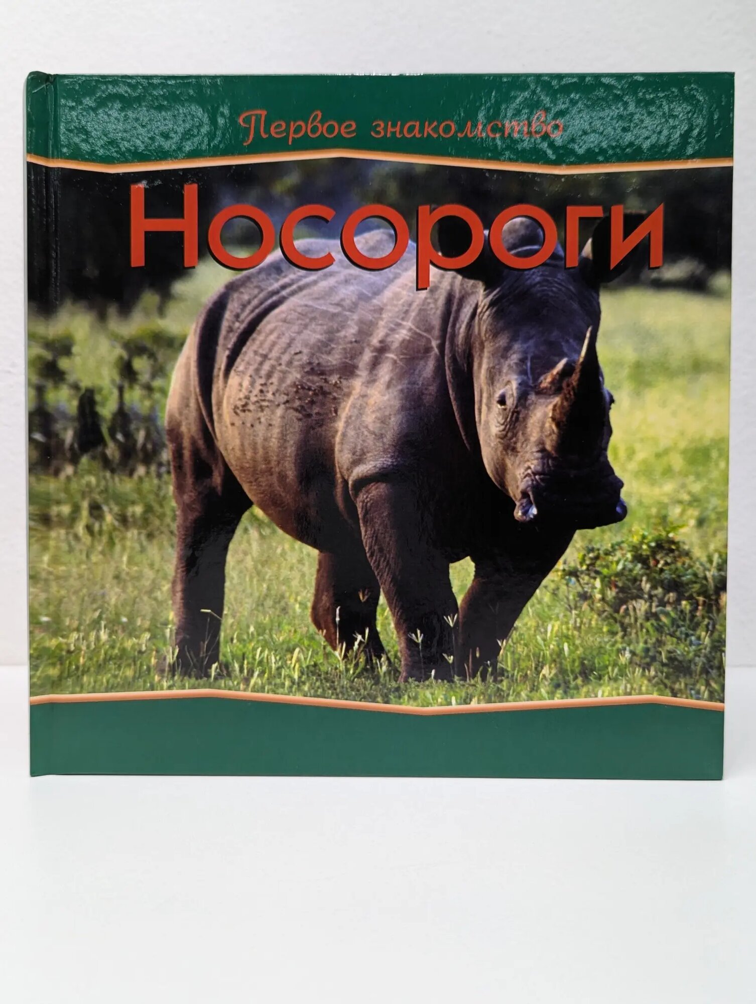 Первое знакомство. Носороги Сборник 2008