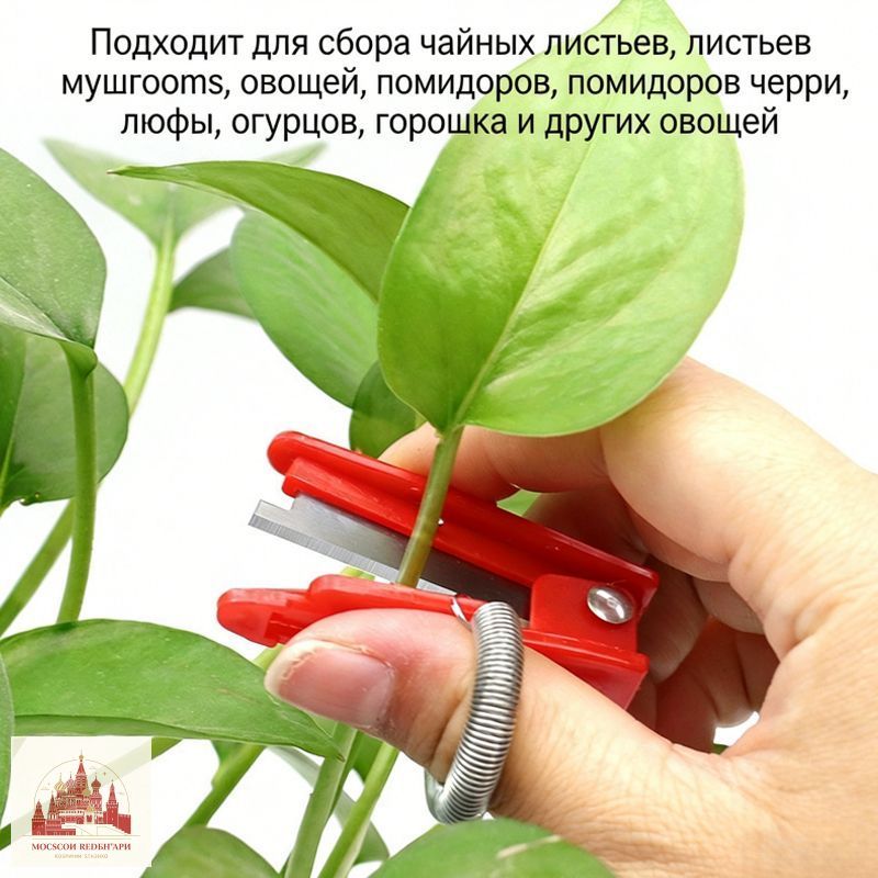 Секатор