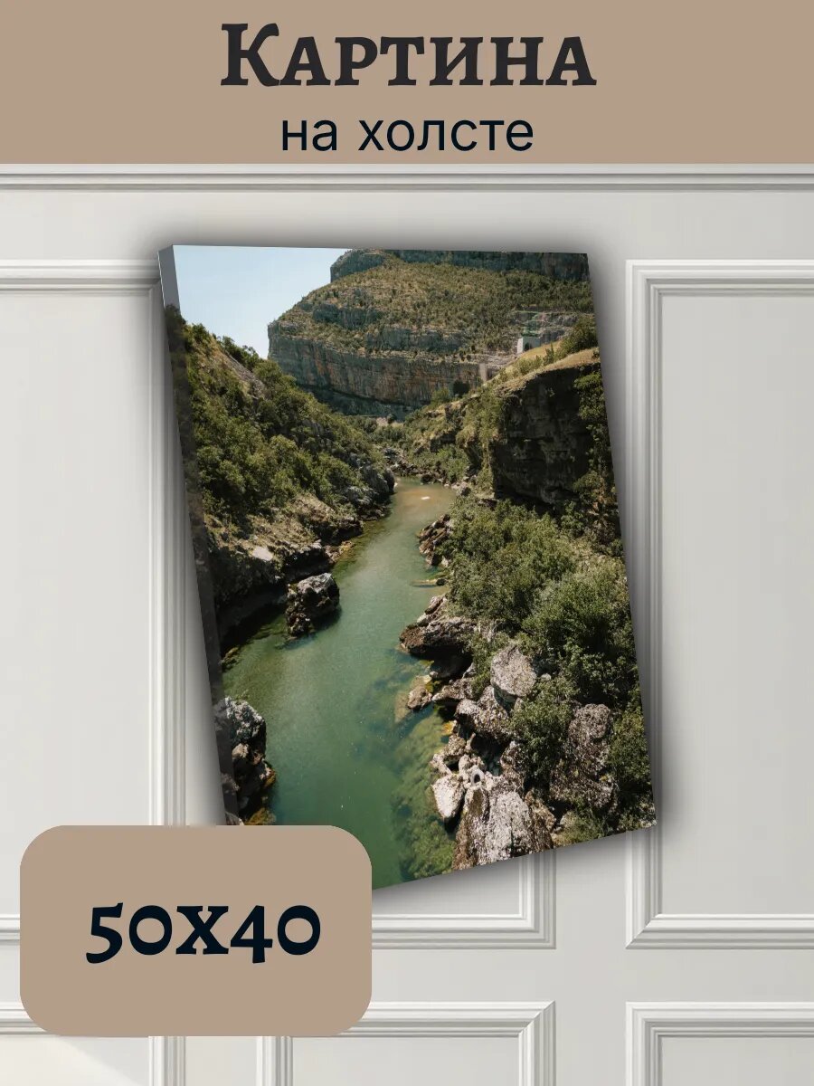 Картина Черногория Montenegro 40x50 горный каньон с рекой