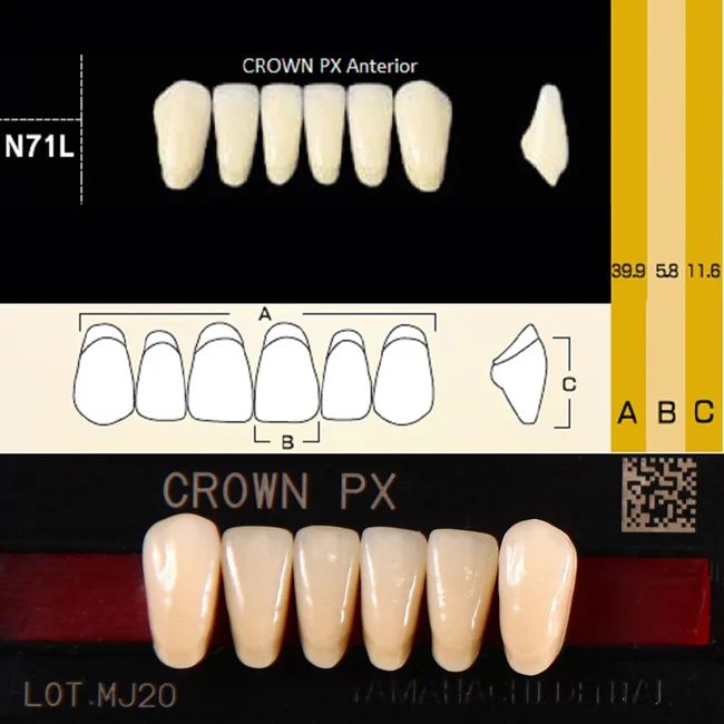 Зубы композитные трёхслойные, вариант исполнения: PX, CROWN Anterior (фронтальные нижние), фасон N71L, цвет A4,6 шт. на планке.