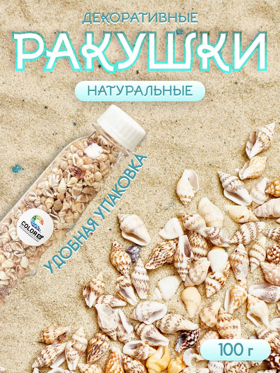 Декоративные натуральные ракушки, спираль 0,8-1,3 см