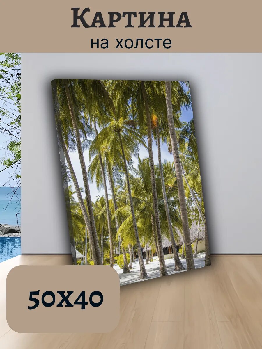 Картина Постер Мальдивы Maldives 40x50 тропический Рай