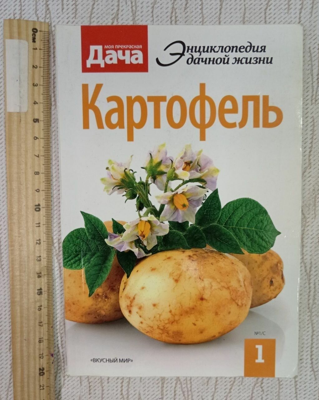 Картофель. Кабина Мария Васильевна