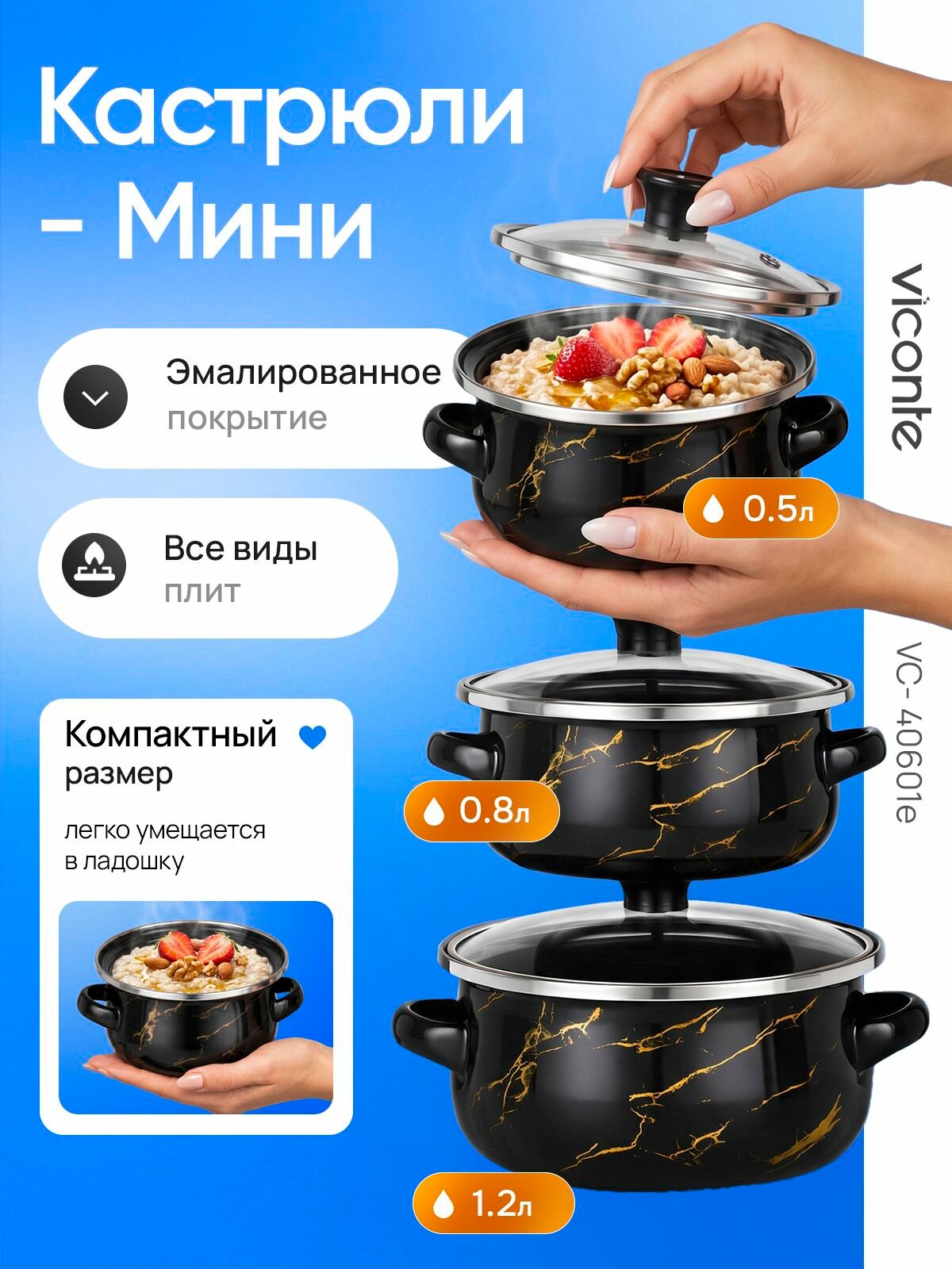 Набор мини-кастрюль, 6 предметов VC-40601E