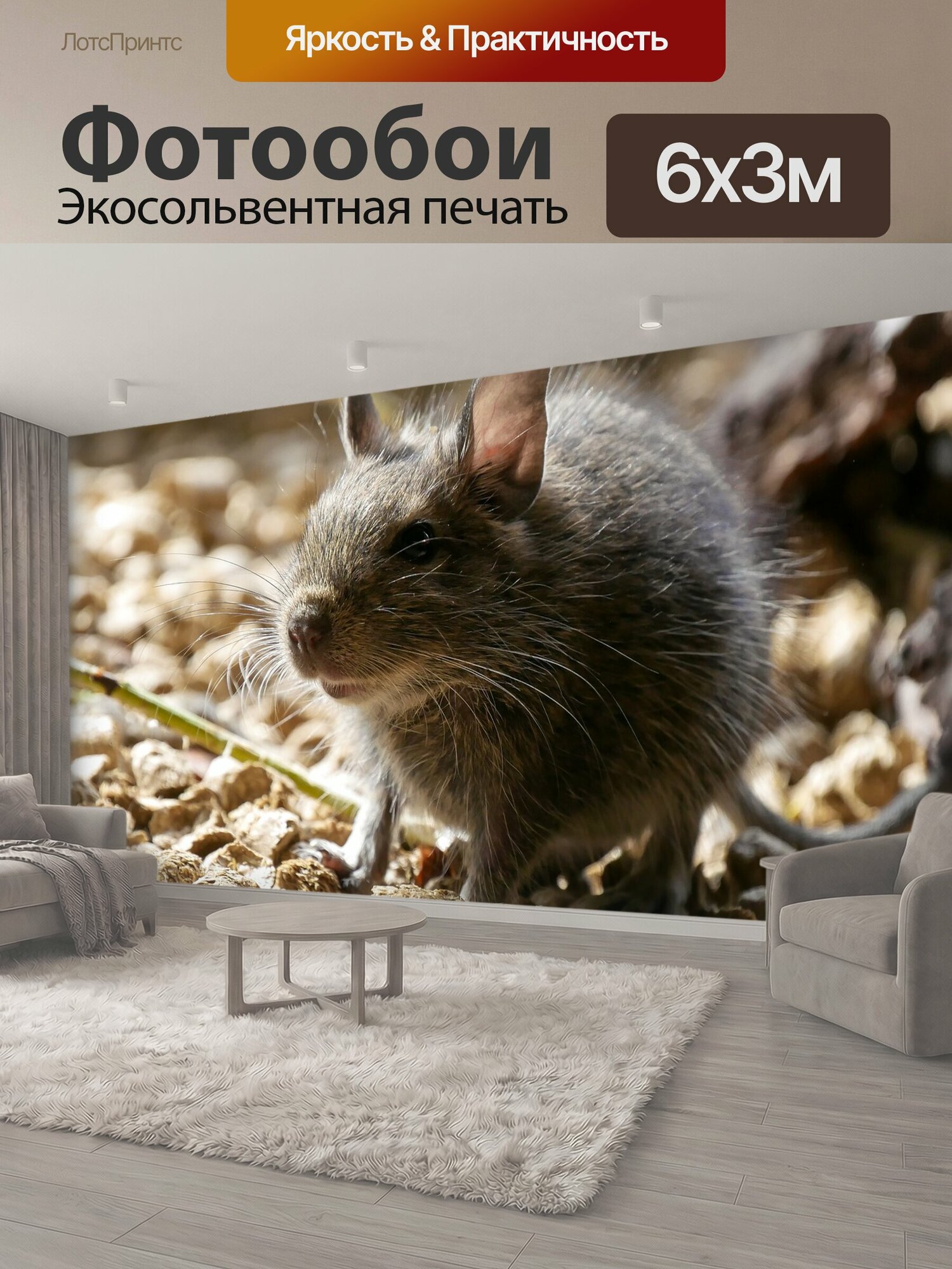 Фотообои "Дегу, грызун, носить крысу" 600x300 см. экосольвентная печать