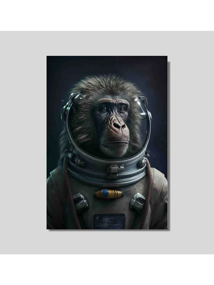 Павиан-космонавт 4, Плакат 30x42см