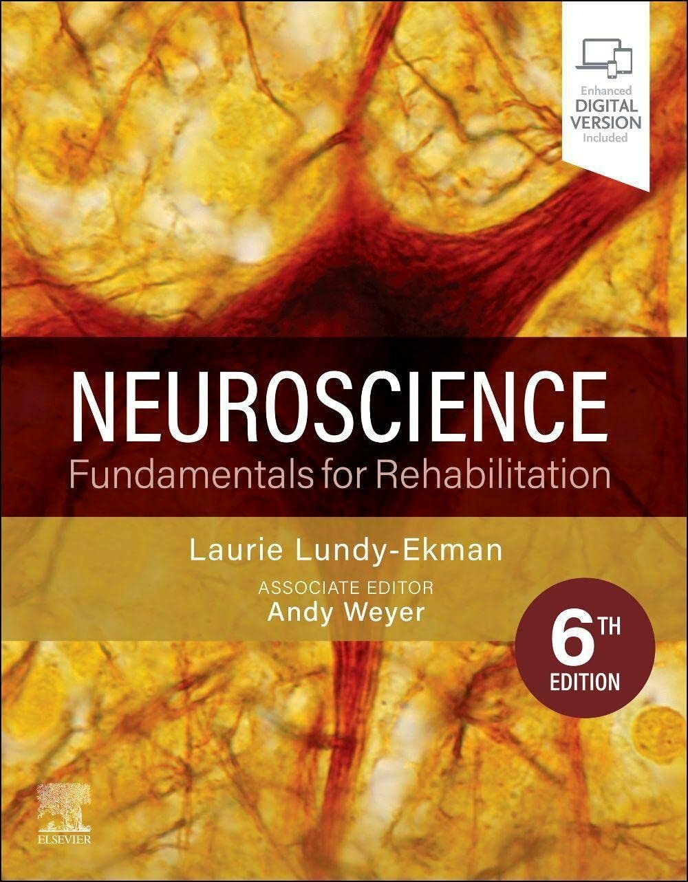 Neuroscience: Fundamentals for Rehabilitation Reprinted books