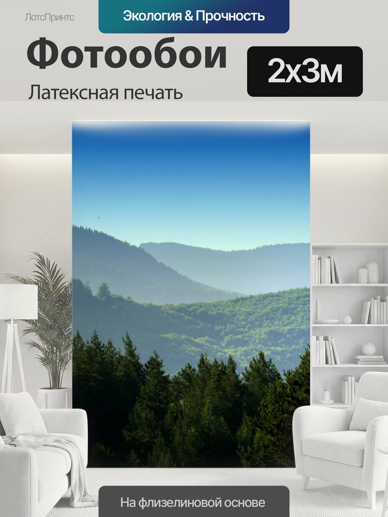 Фотообои моющиеся ударопрочные "Леса Еловые леса, Словакия лес ели деревья дерево горы пейзаж зеленый фото бесплатное" 200x300 см. латексная печать