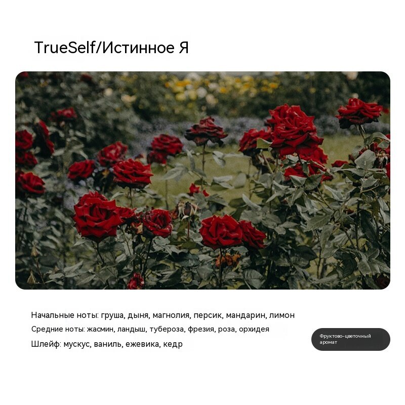 Сменный ароматический картридж с маслом композиции True Me для автоматического распылителя