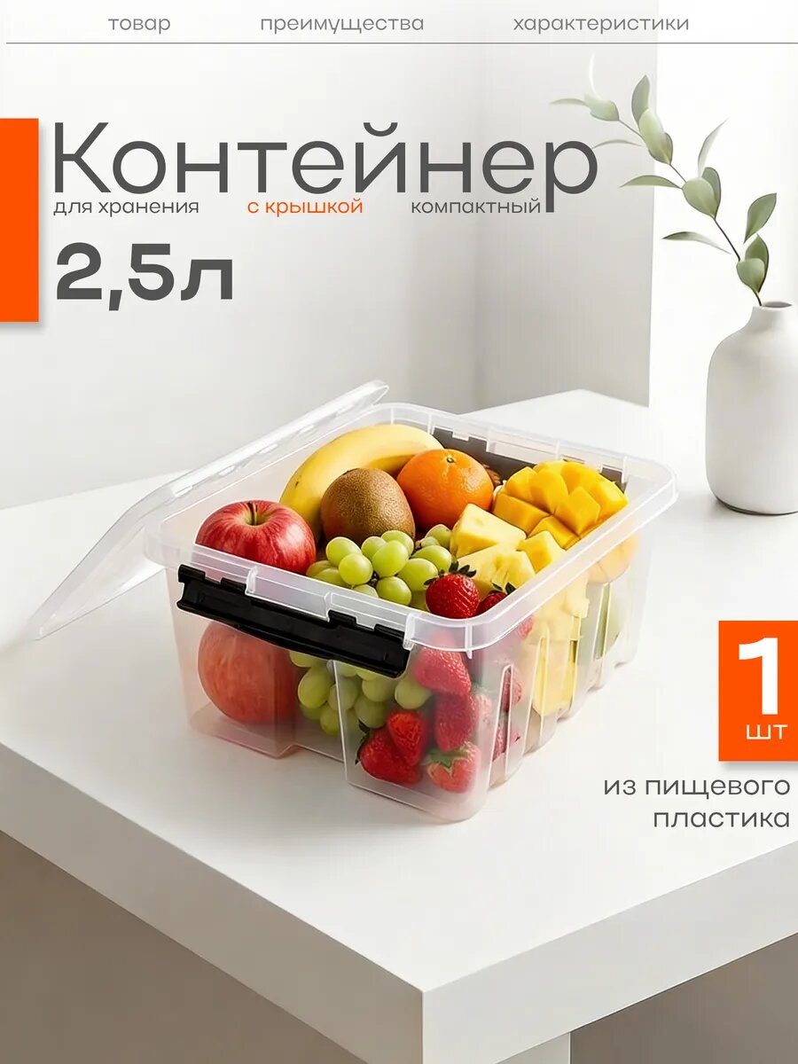 Контейнер для хранения с крышкой пластиковый, коробка прочная 2,5 л