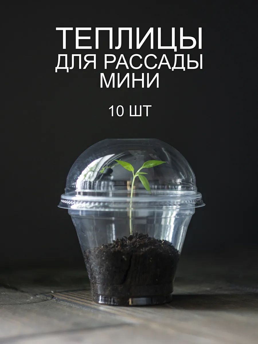 Мини теплицы для рассады 10 шт 200 мл