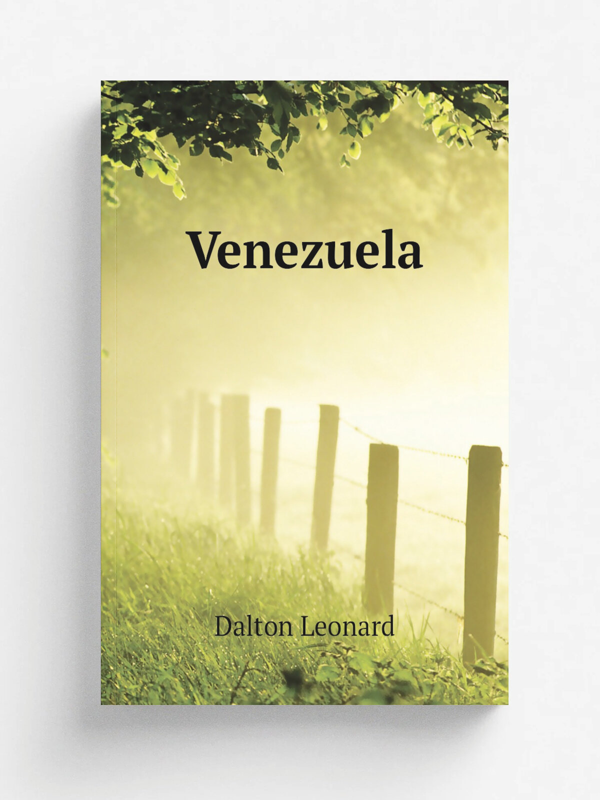 Venezuela | Dalton Leonard | Репринт