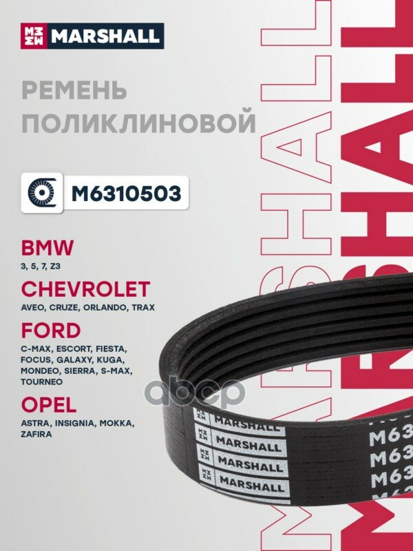 Ремень поликлиновой MARSHALL арт. M6310503