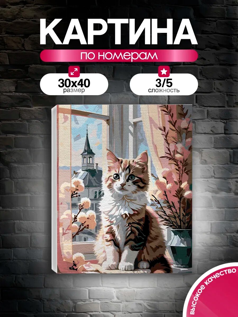 Картина по номерам 30x40 Пушистый котенок