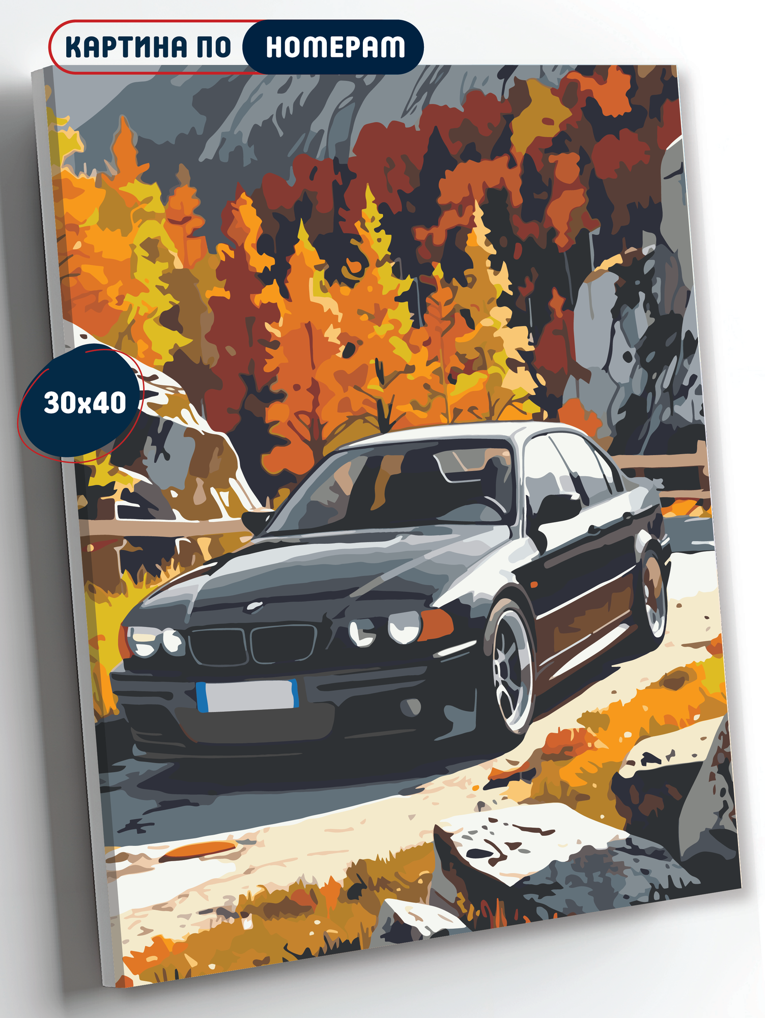 Картина по номерам "BMW E39 №2", Холст на подрамнике 30х40